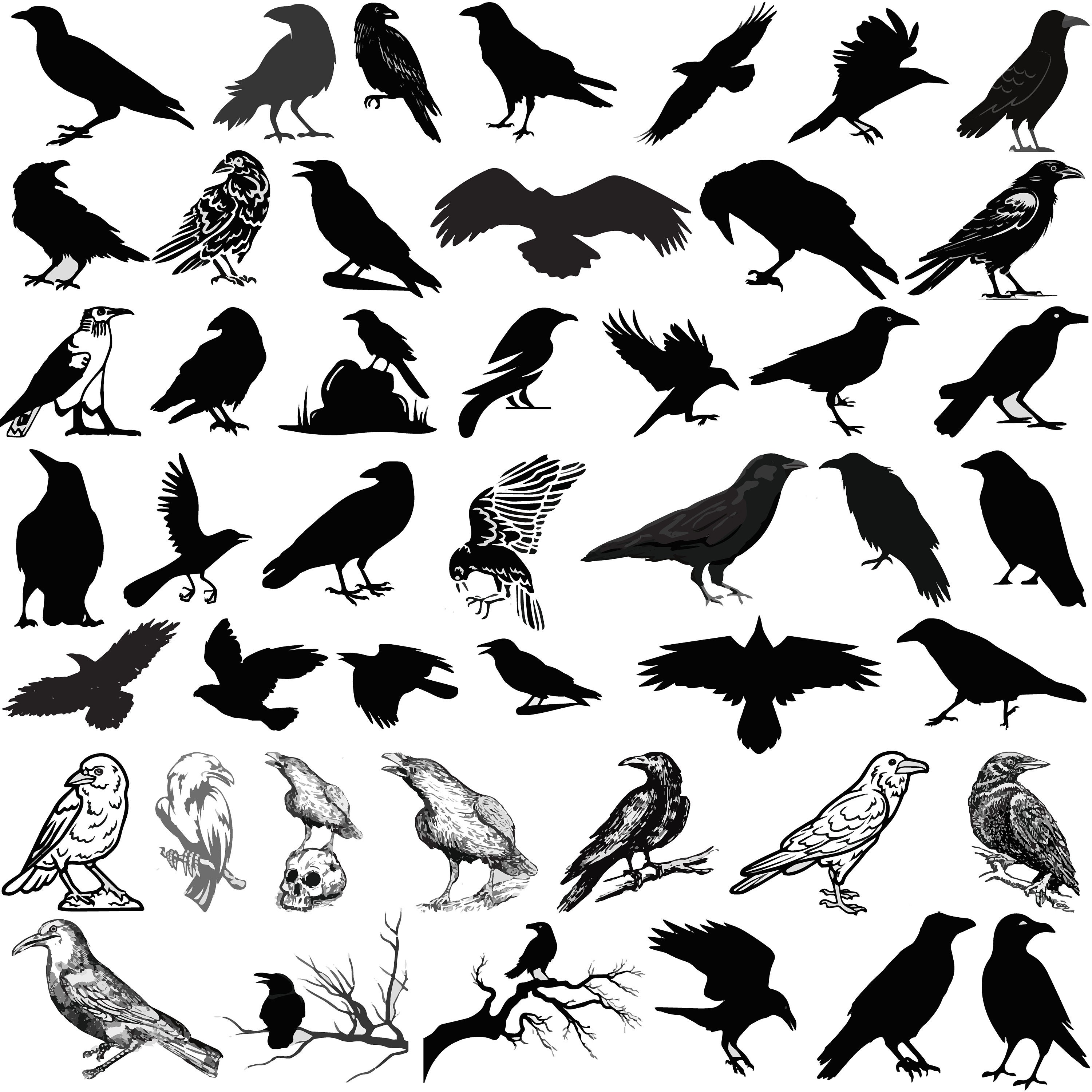 Raven SVG Bundle, Raven Clipart, Raven SVG Cut Files for Cricut, Dark ...