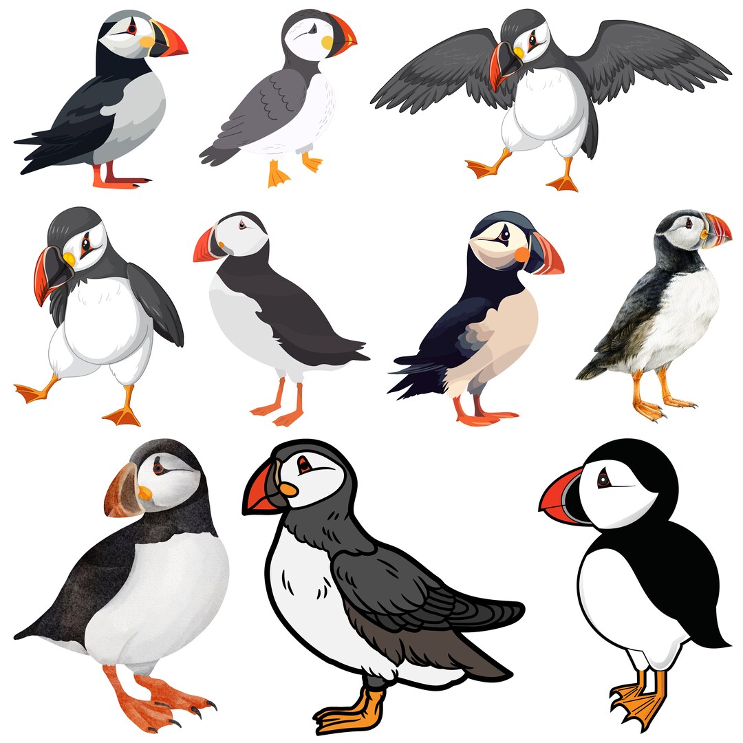 Puffin Bird SVG Bundle, Puffin Vector, Puffin Outline, Puffin Clipart ...