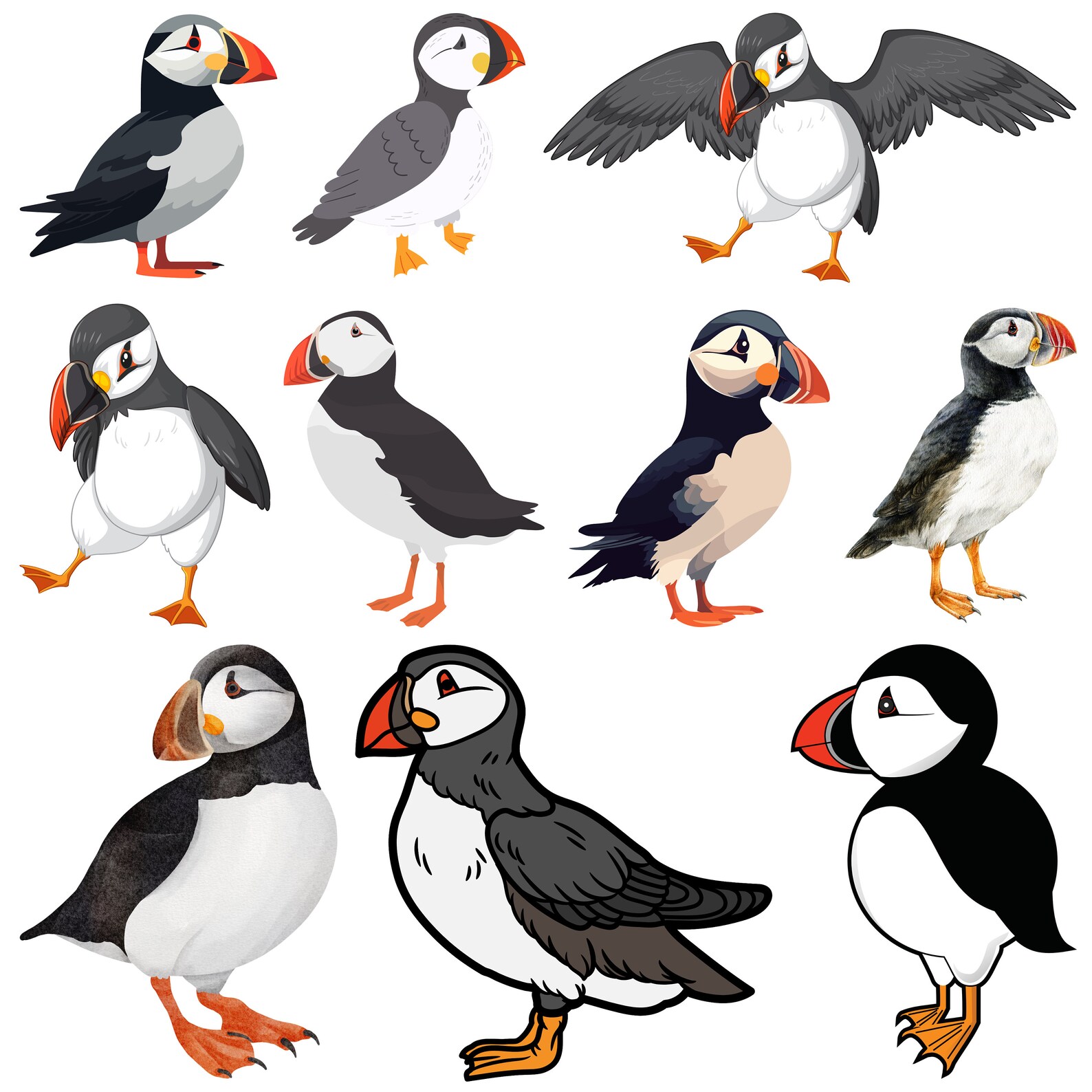 Puffin Bird SVG Bundle, Puffin Vector, Puffin Outline, Puffin Clipart ...