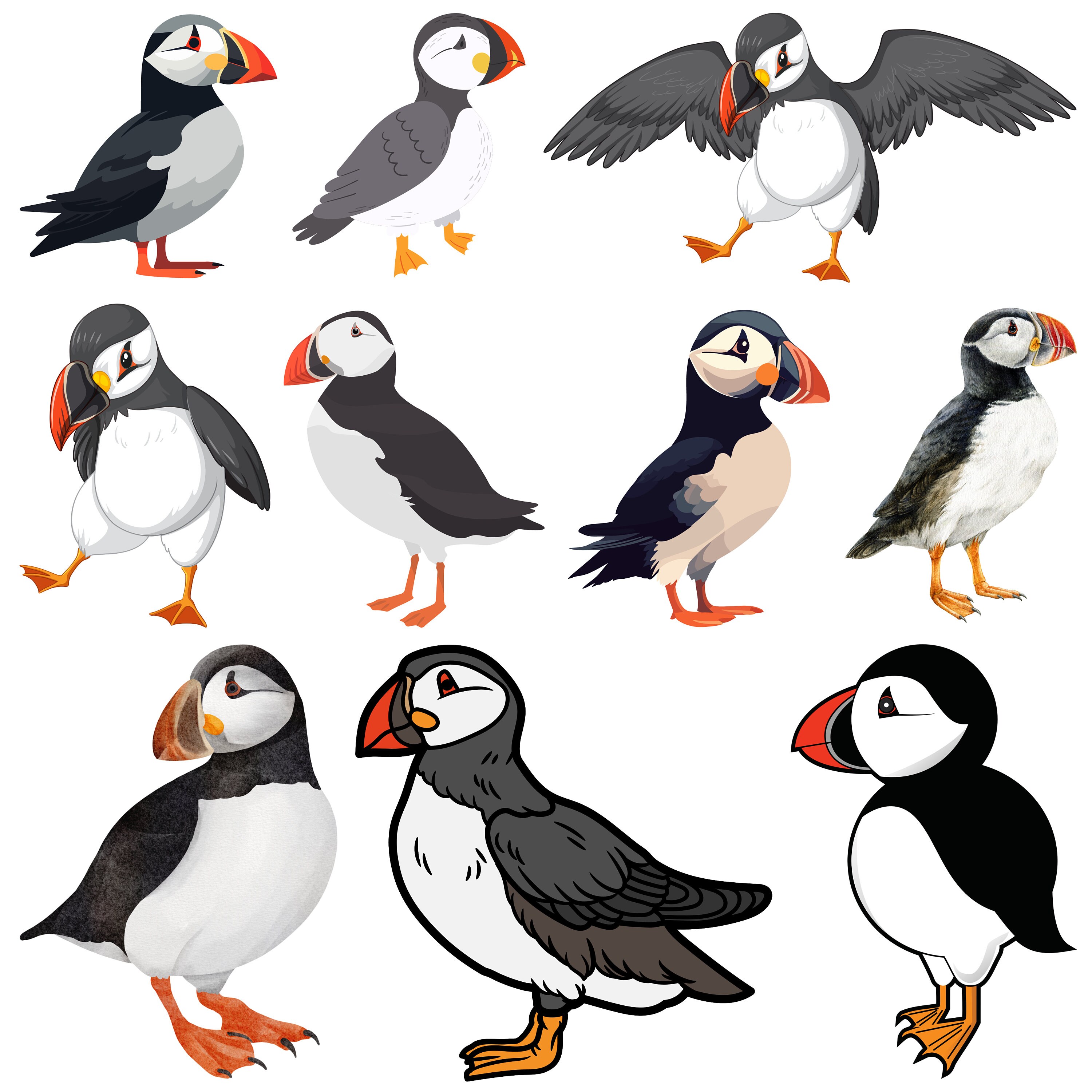 Puffin Bird SVG Bundle, Puffin Vector, Puffin Outline, Puffin Clipart ...