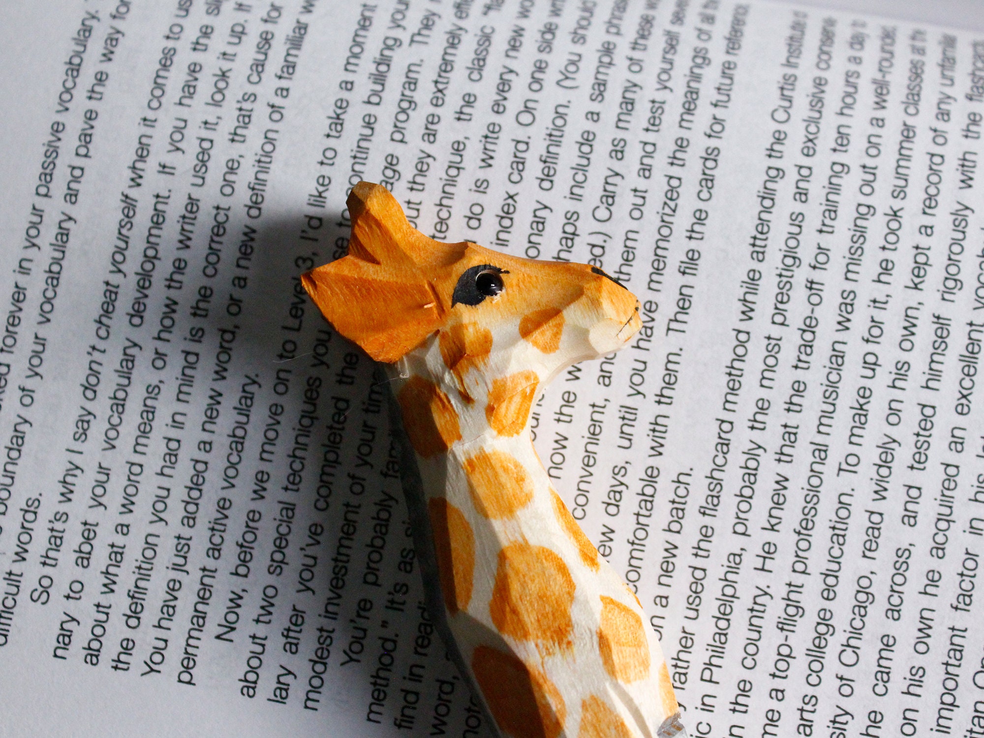 Giraffe Penanimal Pens, Office Decor, Girl Pens, Colleague Gifts - Etsy