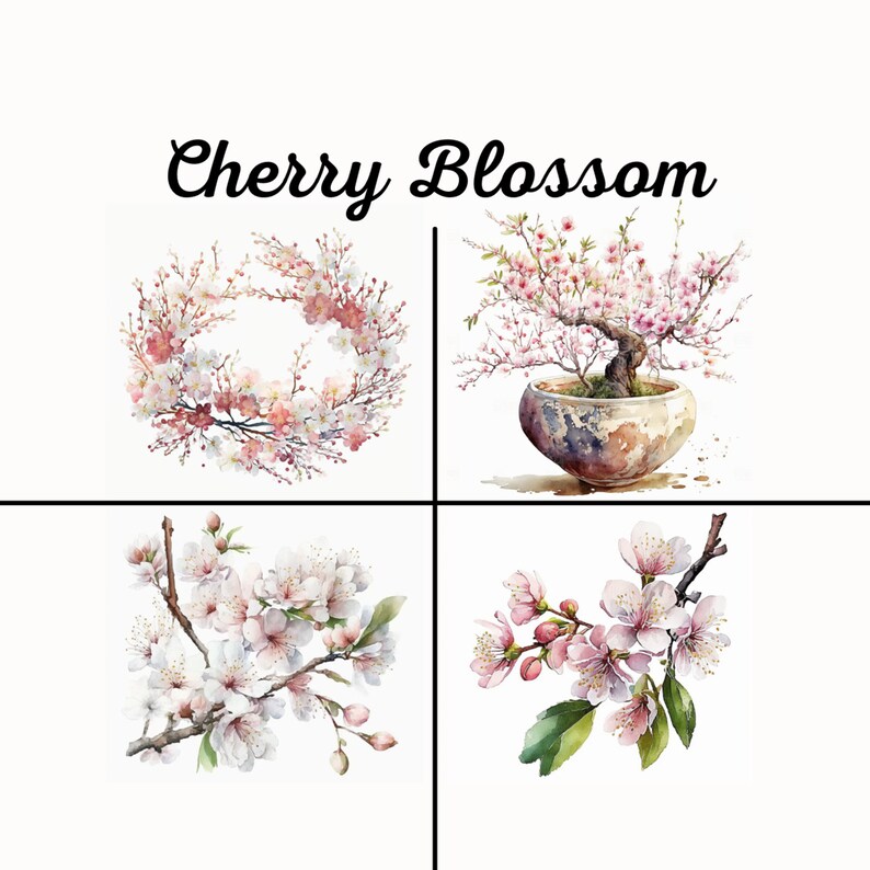 Cherry Blossom Watercolor Clipart, 10 Pngs High-quality 300 DPI ...