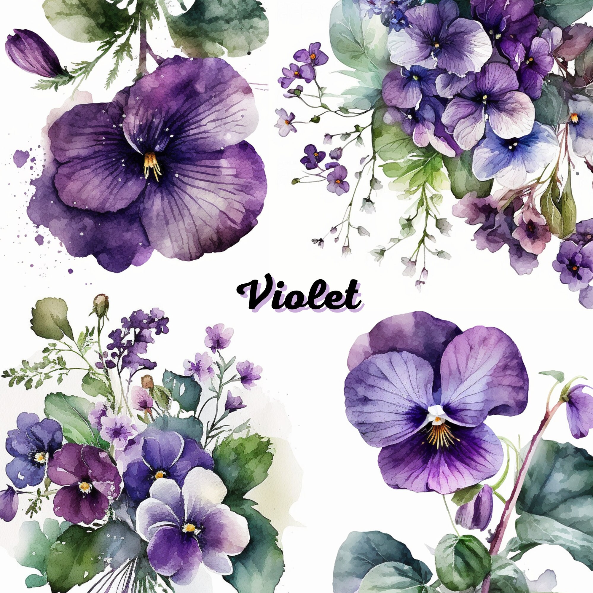 Violet Watercolor Clipart, 10 High-quality Pngs 300 DPI, Commercial Use ...