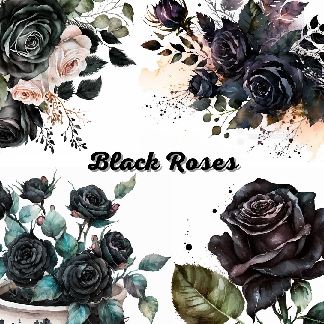 Black Roses Watercolor Clipart, 10 High-quality Pngs 300DPI, Commercial ...