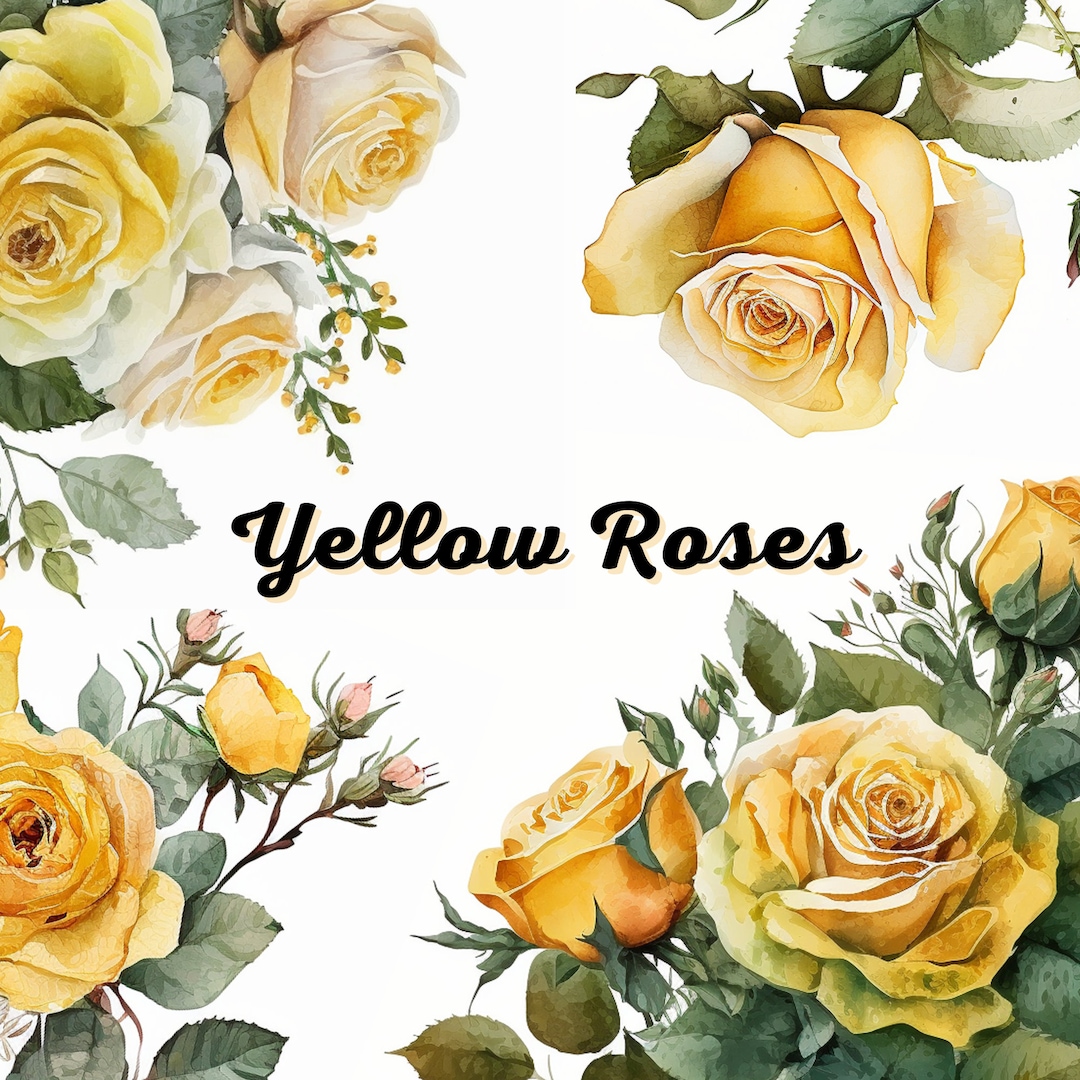 Yellow Roses Watercolor Clipart, 10 High-quality Pngs 300DPI ...