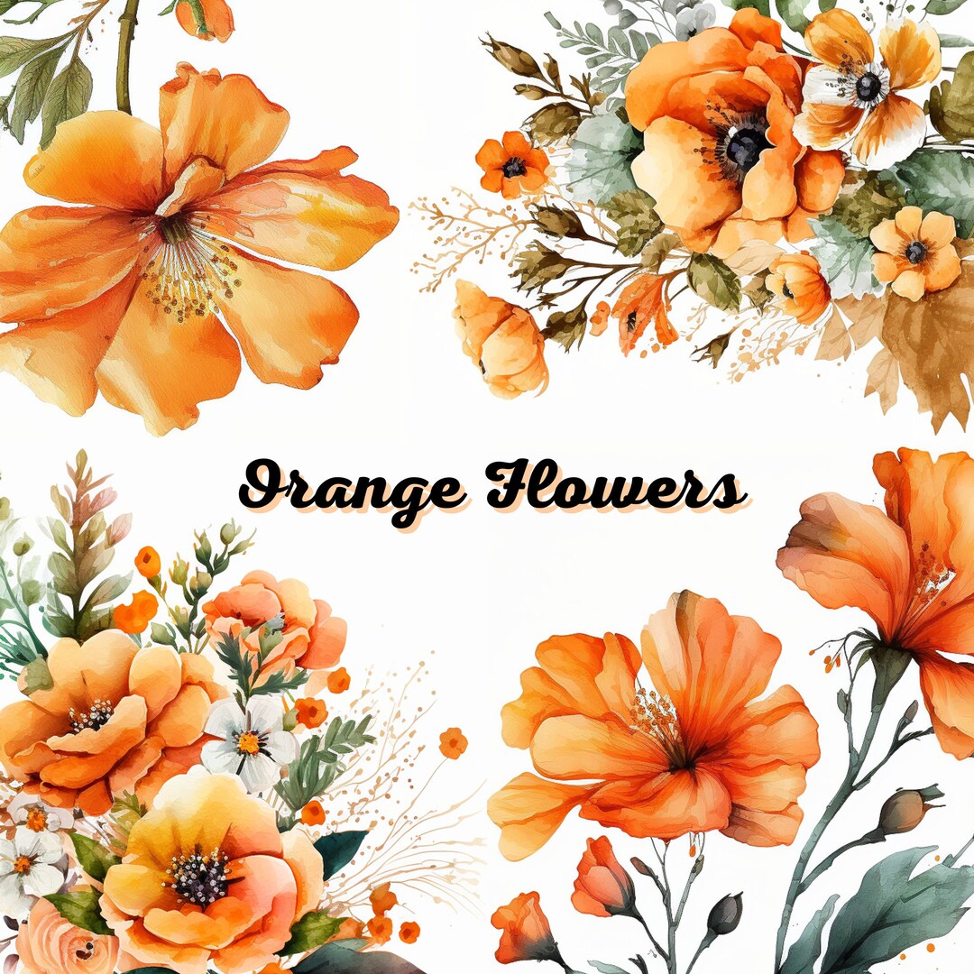 Orange Flowers Watercolor Clipart, 10 High-quality Pngs 300DPI ...