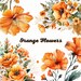 Orange Flowers Watercolor Clipart, 10 High-quality Pngs 300DPI ...
