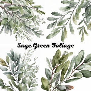 Sage Green Foliage Watercolor Clipart, 10 High-quality Pngs 300 DPI ...