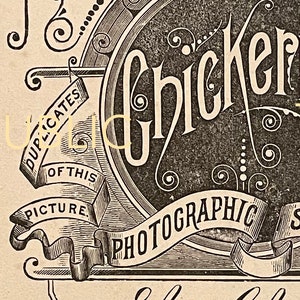 Victorian Cartouche: Vintage Boston Photo Studio Graphic PNG File ...