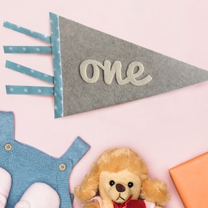 Milestone Flag Baby, Monthly Milestone, Milestone Cards, Custom Flag ...