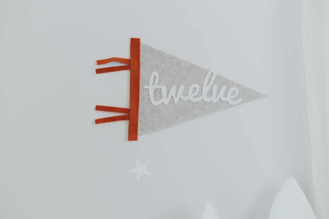 Baby Milestone Cards, Felt Milestone, Baby Monthly Milestone Marker ...