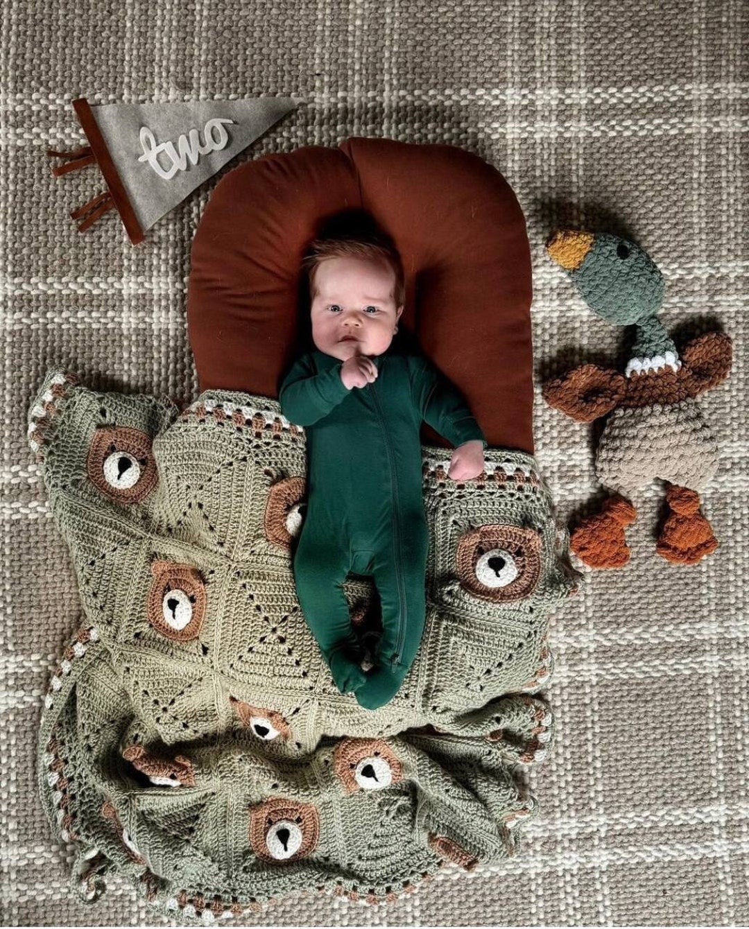 Milestone Flag Baby, Monthly Milestone, Milestone Cards, Custom Flag ...