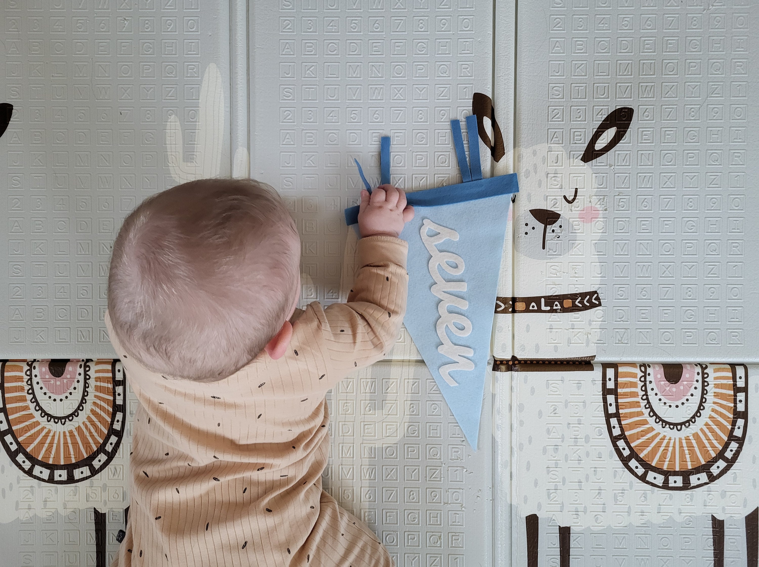 Milestone Flag Baby, Monthly Milestone, Milestone Cards, Custom Flag ...