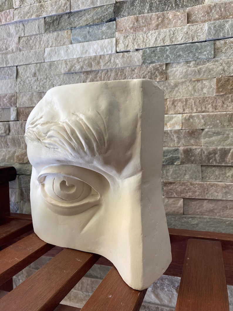 Study of the Eye of David by Michelangelo Buonarroti Made in Plaster, a ...
