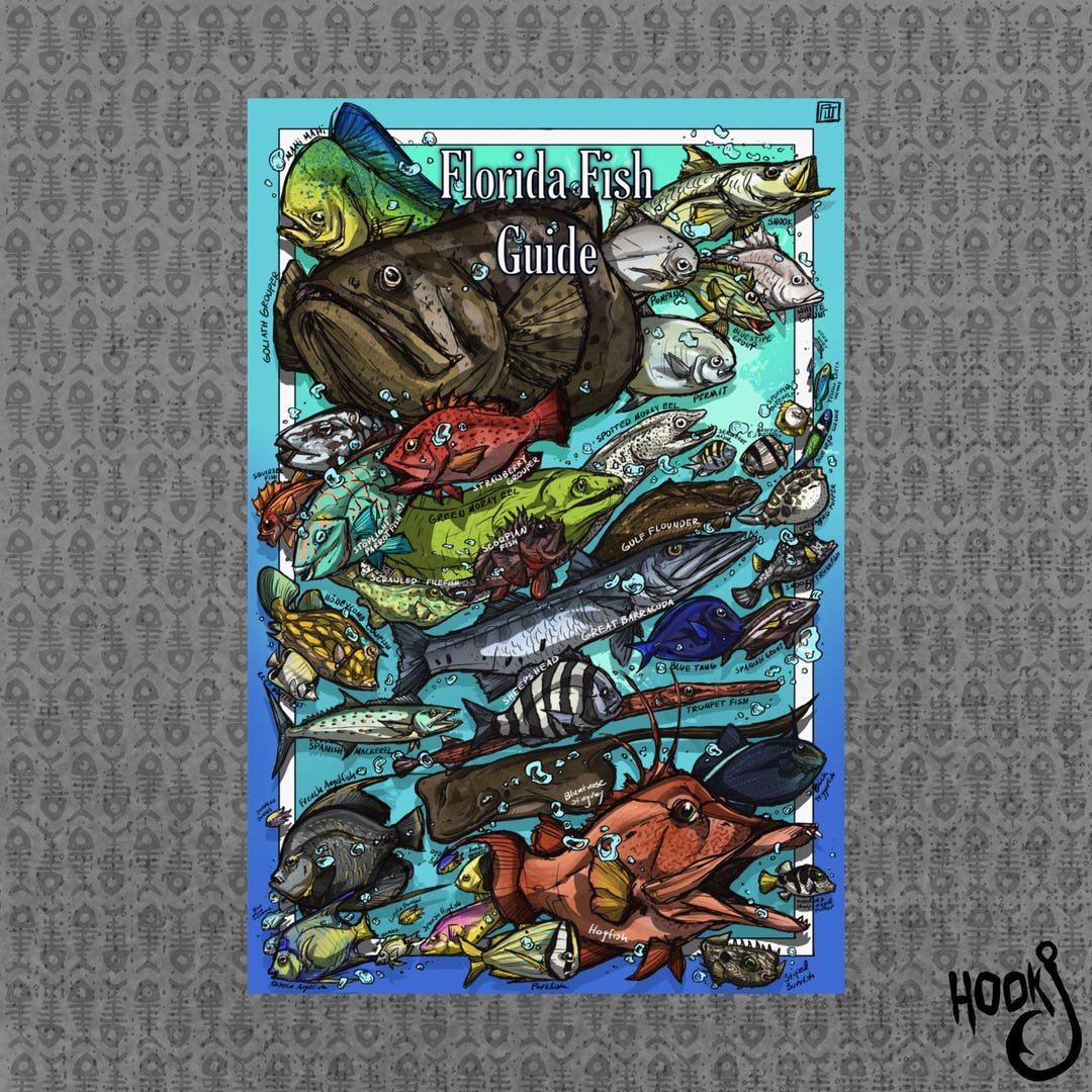 Hook Artwork "native Florida Fish" Vertical Poster - Etsy