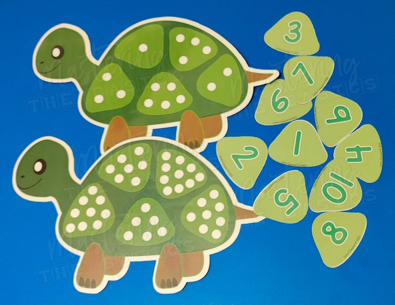 Turtle Count and Match - Etsy