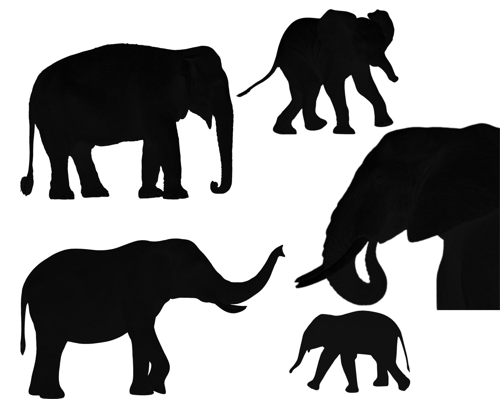 5x Digital Elephant SVG | Elephant SVG | Elephant Silhouette - Etsy