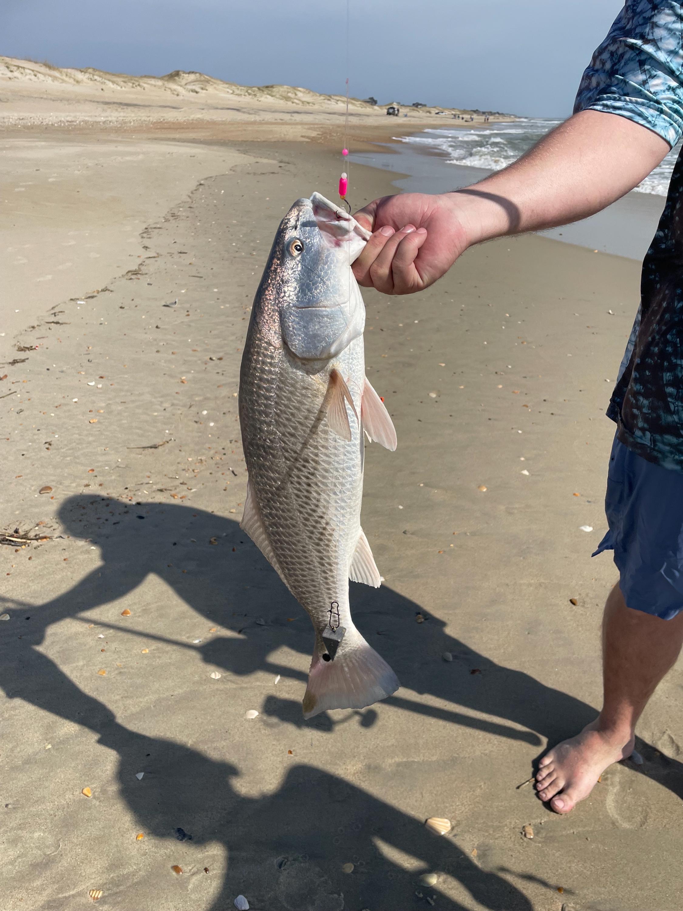 Drum Rig, Surf Fishing, Hatteras Rig, OBX Fishing, Saltwater, Custom ...