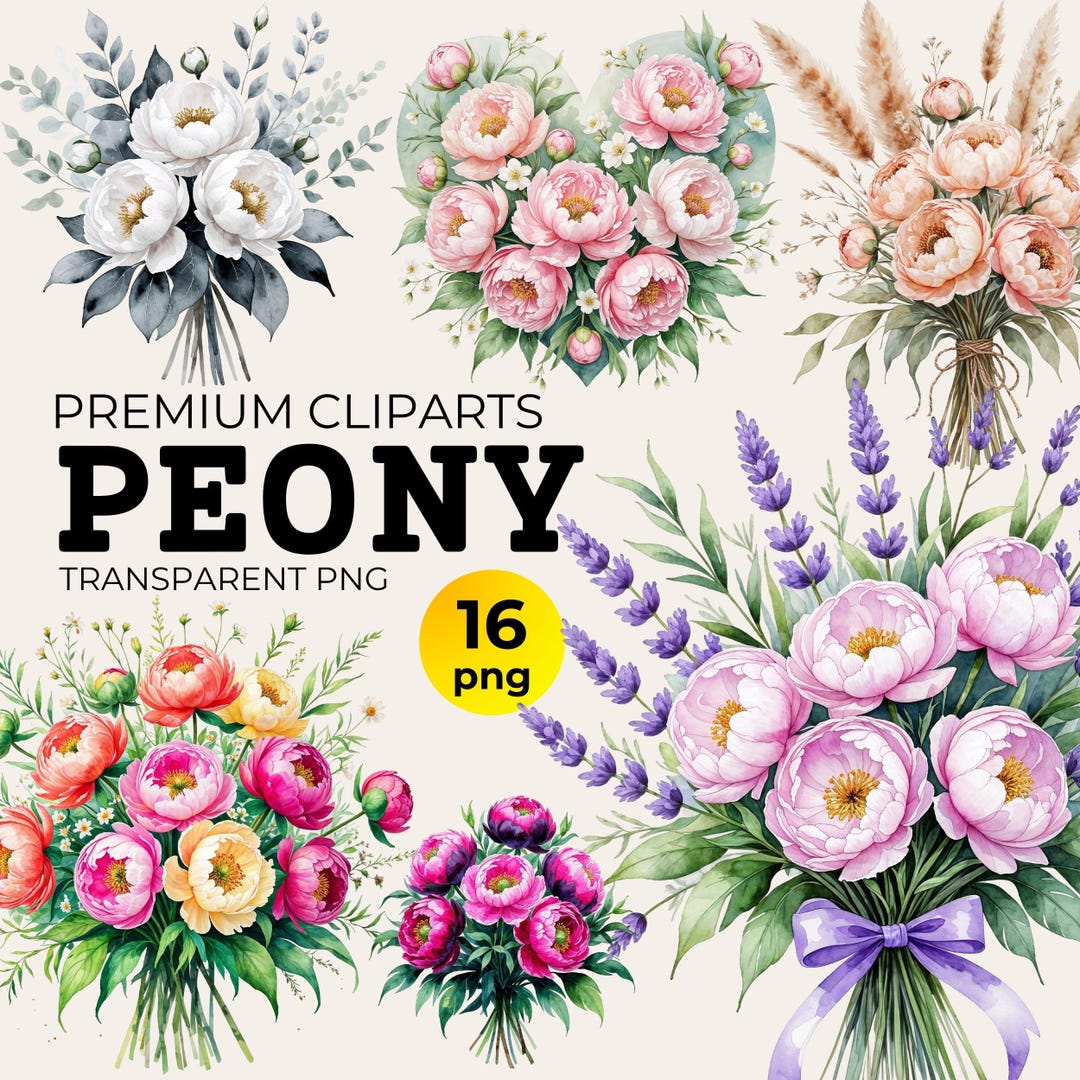 Watercolor Peony Clipart Bundle: Spring Wildflower PNG (digital ...