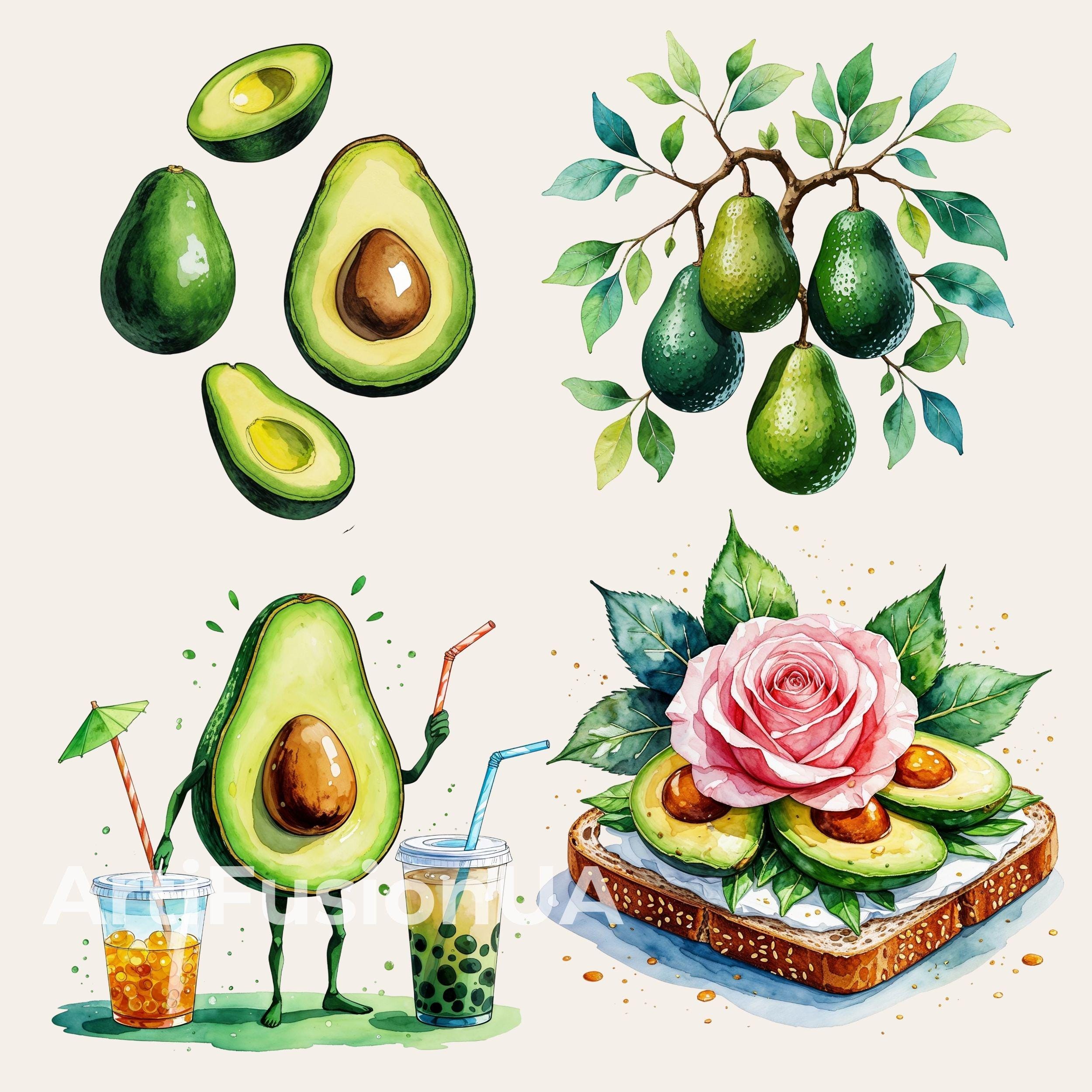 Avocado Clipart Bundle, Watercolor Cute Food PNG for Vegan Crafts ...