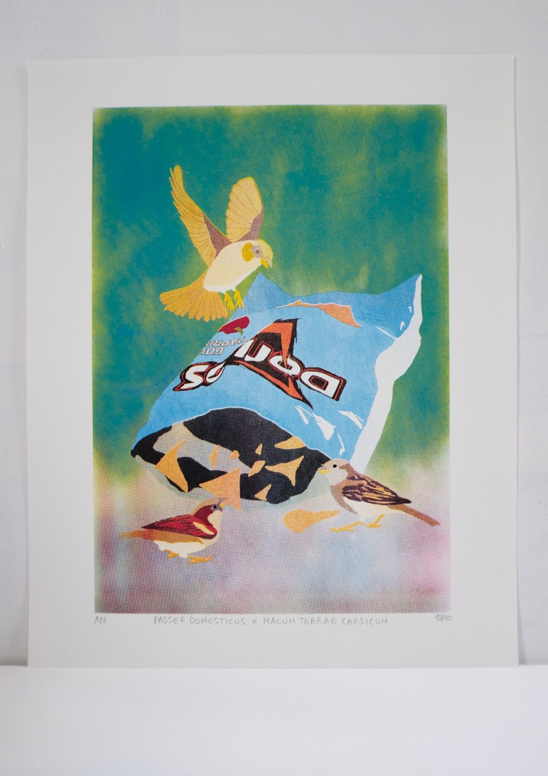 Four-color Screen Printing Sparrows “passer Domesticus X Malum Terrae ...