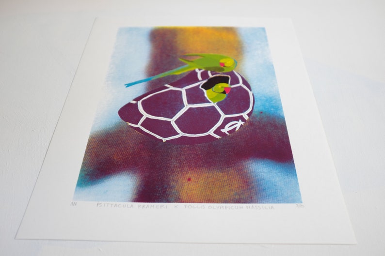 Four-color Screen Printing Parakeet psittacula Krameri X Follis Olympic ...