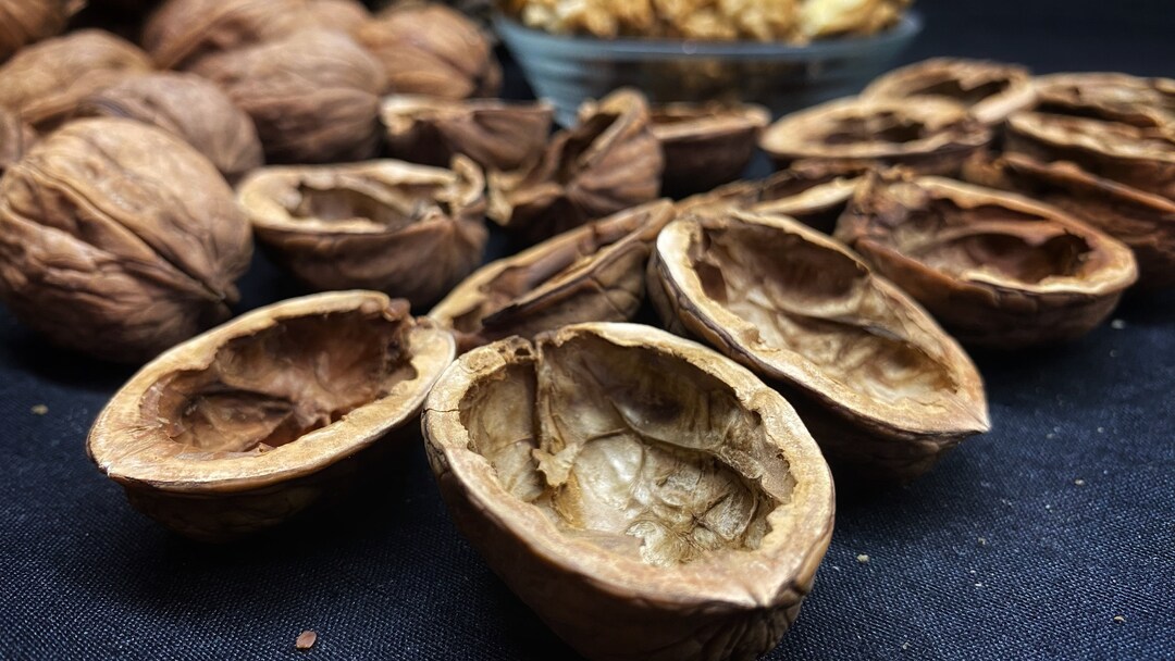 20 Walnut Shell Halves Natural Decoration Crafting Organic Ornament ...