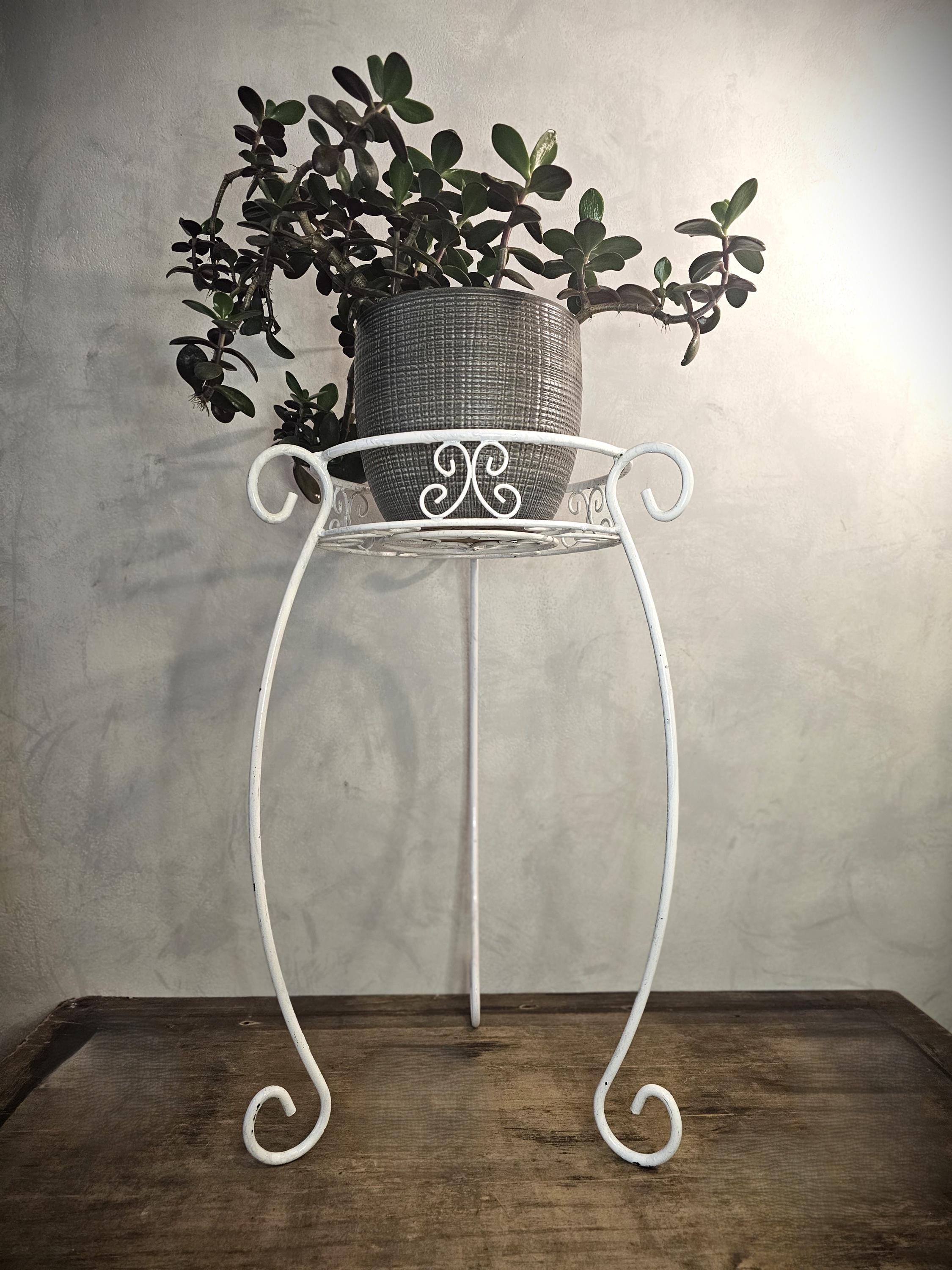 Vintage Wire Work Plant Stand French Plant Display - Etsy