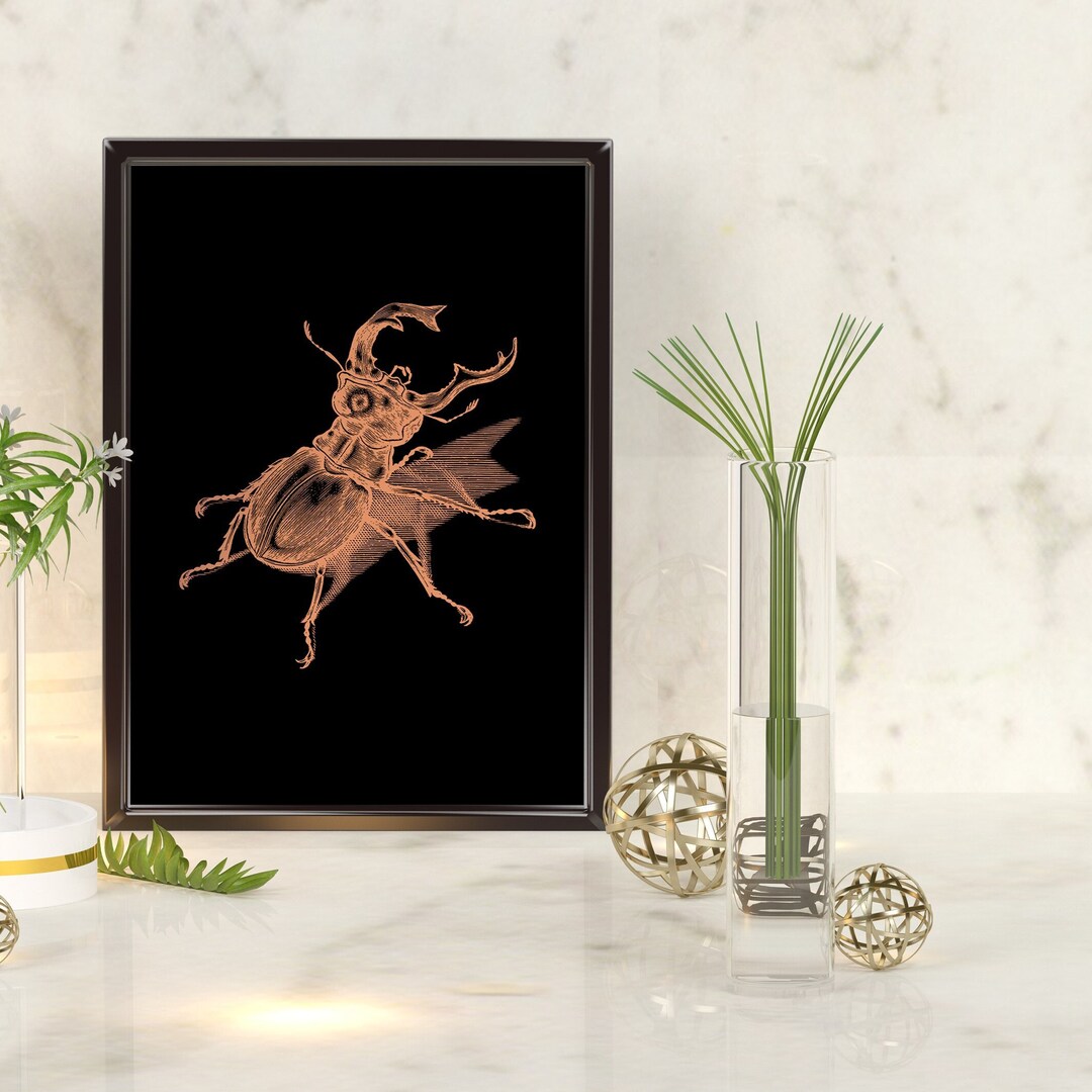Beetle Insect Art Print, Botanical Wall Decor for Entomology ...