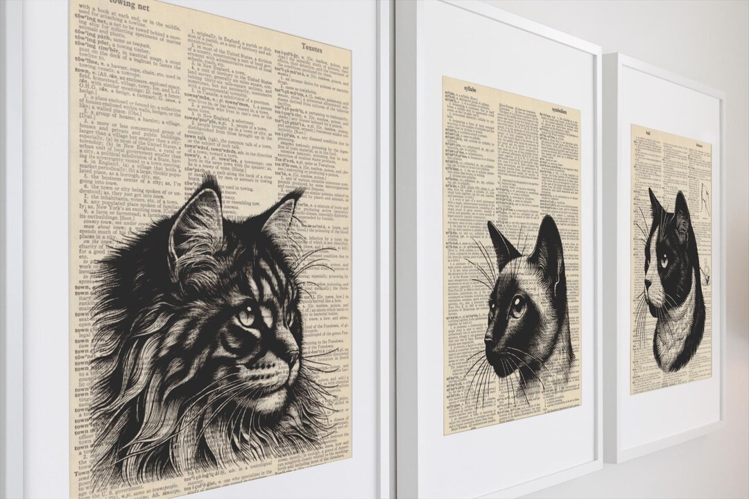 Vintage Book Page Art – Cats – Set of 3 Prints (maine Coon, Siamese Cat ...