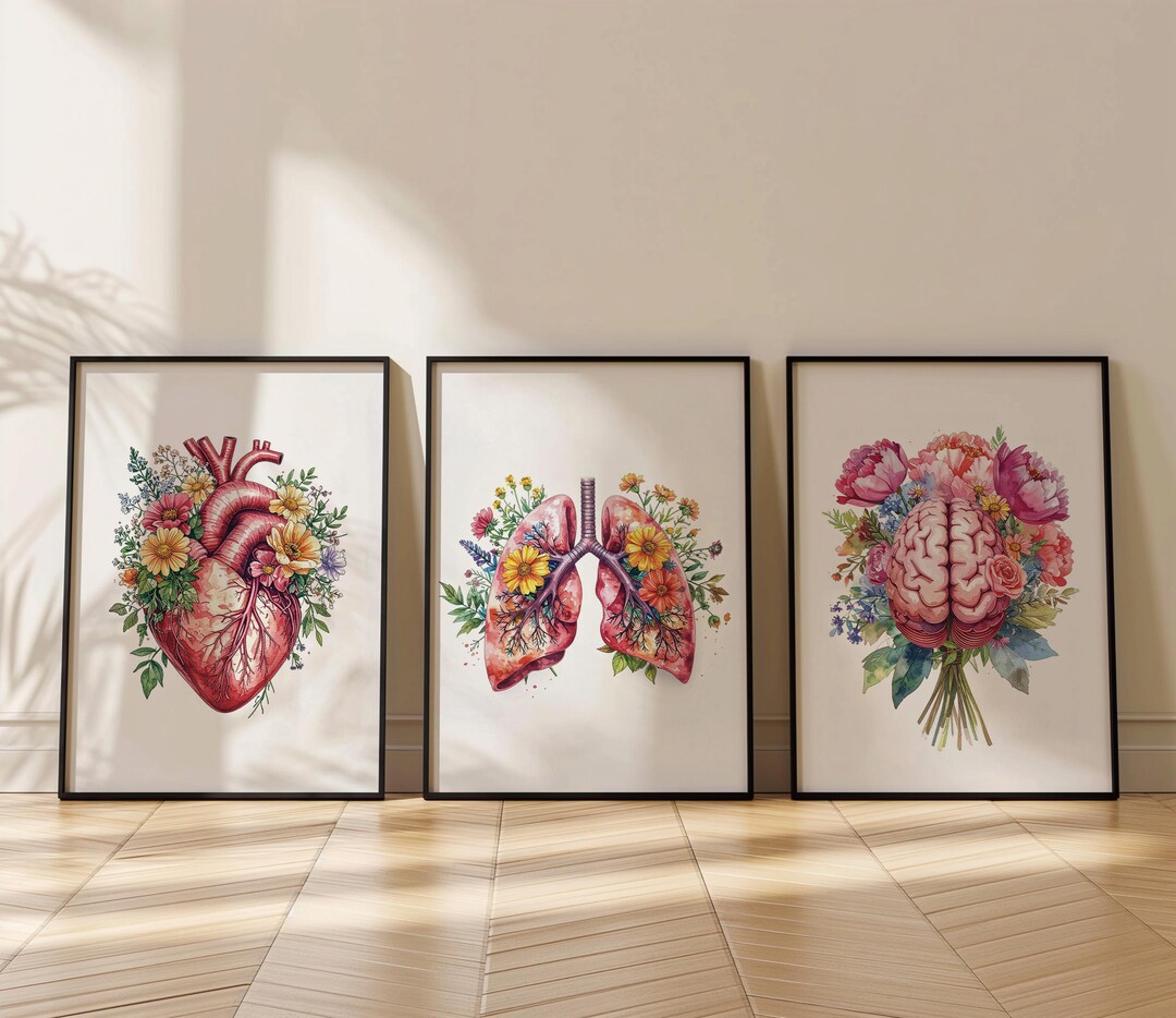 Pink Anatomical Heart,brain,lungs Poster Set of 3 : Medical Wall Art ...