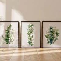 Spine Frequencies Poster, Spine Anatomy Poster, Human Spine ...