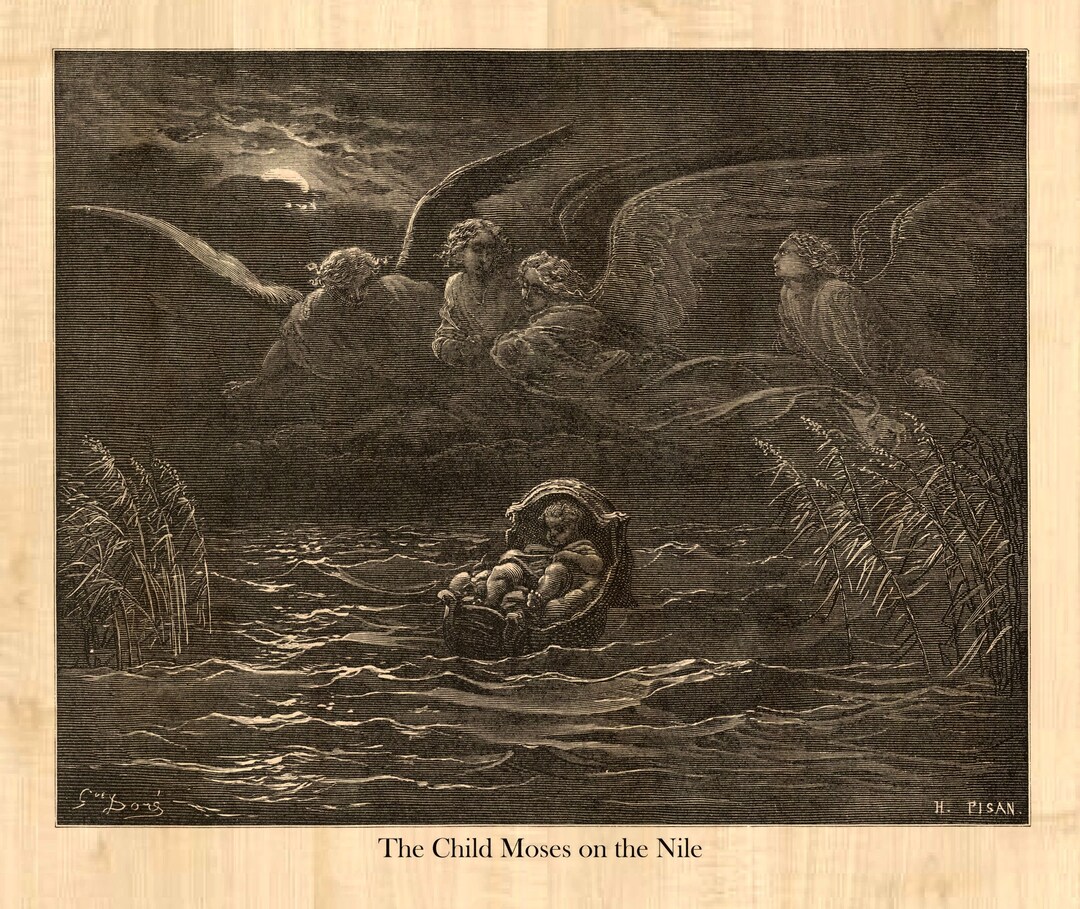 The Child Moses on the Nile: Gustave Dore Bible Illustrations Wood ...