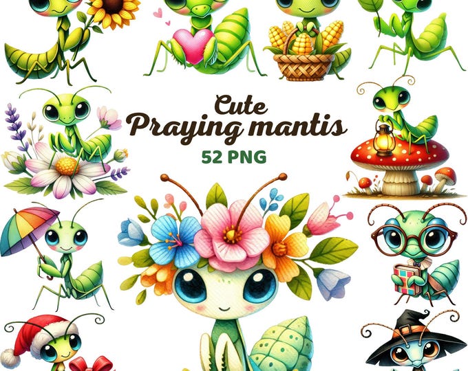 Watercolor Insect Clipart Bundle: Butterflies, Spiders, Praying Mantis ...