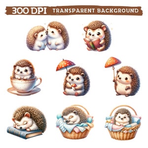 Watercolor Cute Hedgehog Clipart, Spring Summer Hedgehog Sleeping on ...