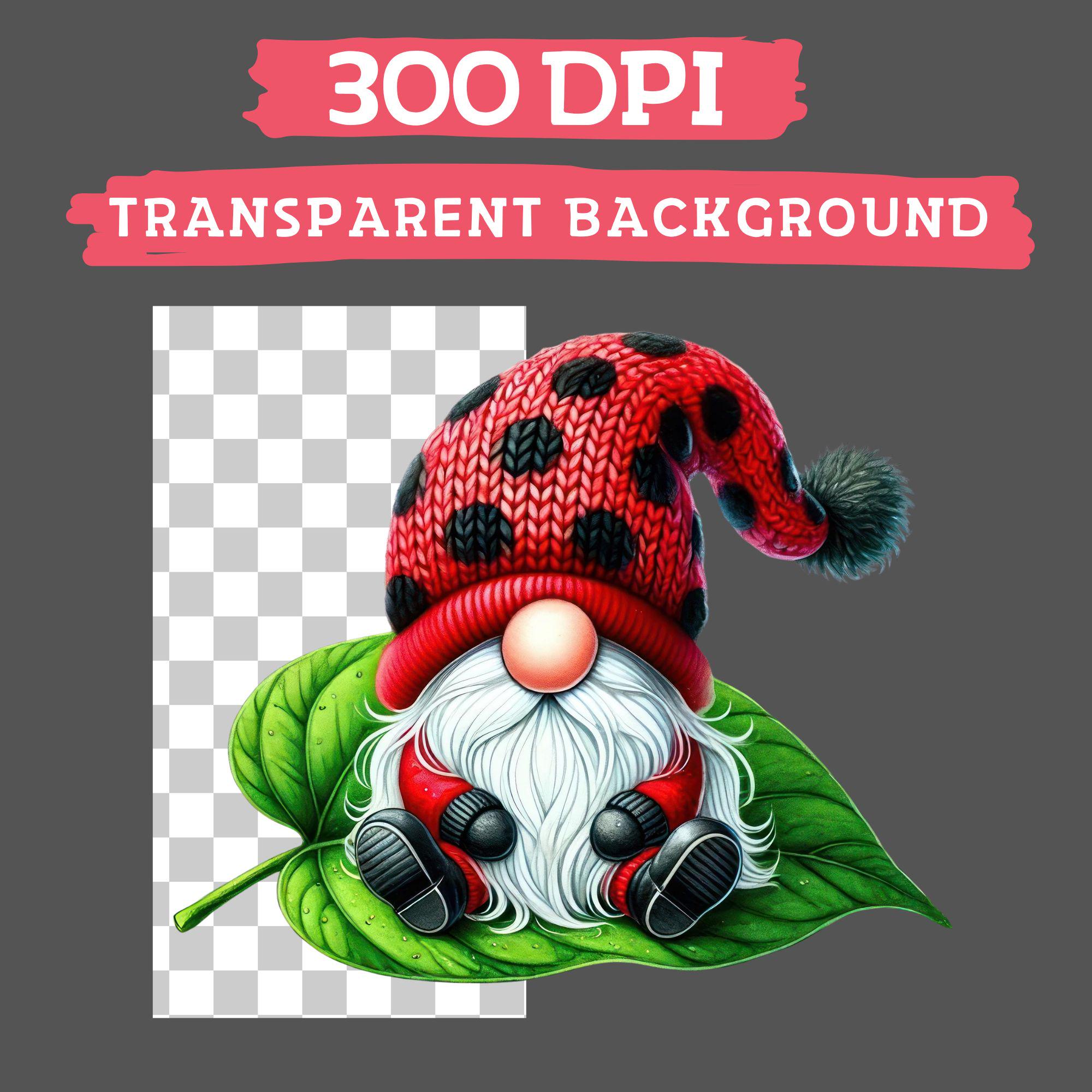 Ladybug Gnome Clipart, Gnome Ladybug Characters, Watercolor Ladybug ...