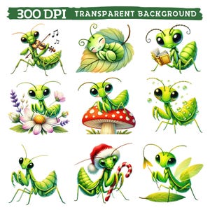 Cute Praying Mantis Clipart, Watercolor Kawaii Educational Bug Insect ...