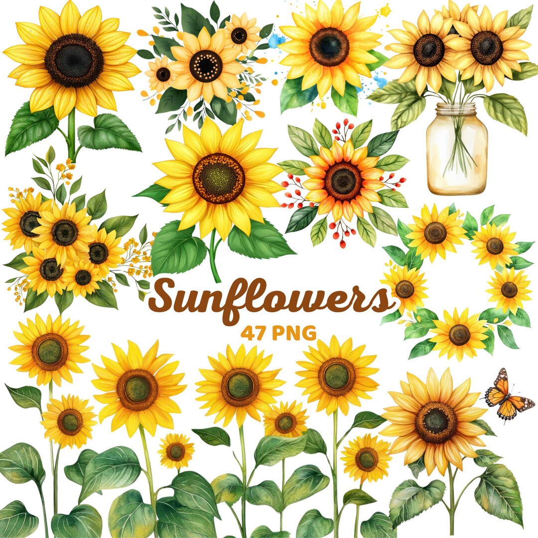 Sunflower Clipart, Watercolor Rustic Floral, Sunflowers Sublimation ...