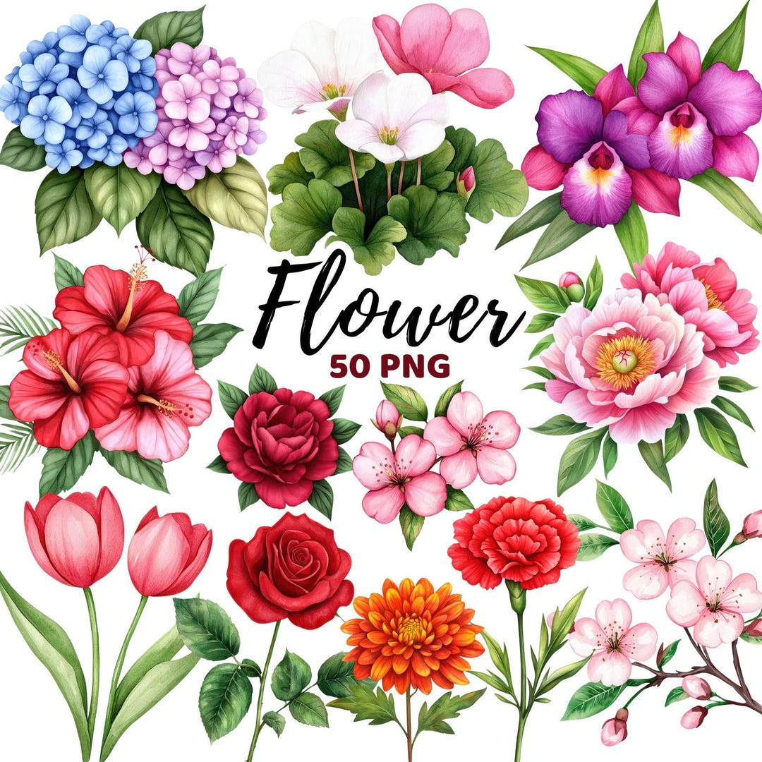 Flowers Clipart, Vibrant Watercolor Floral, Garden, Beautiful Spring ...
