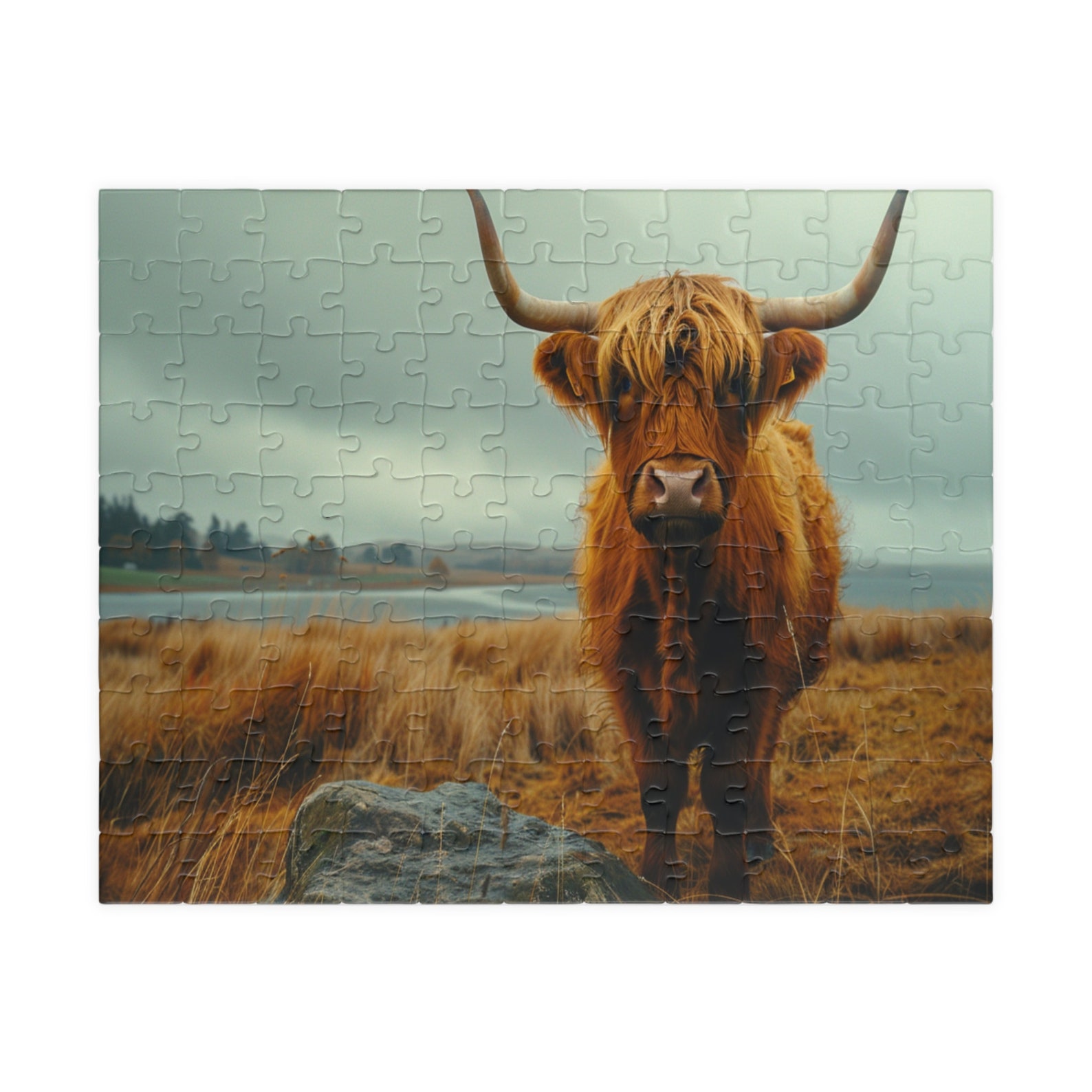 Highland Cow Jigsaw Puzzle: Scottish Highlands, Challenging Puzzle - Etsy