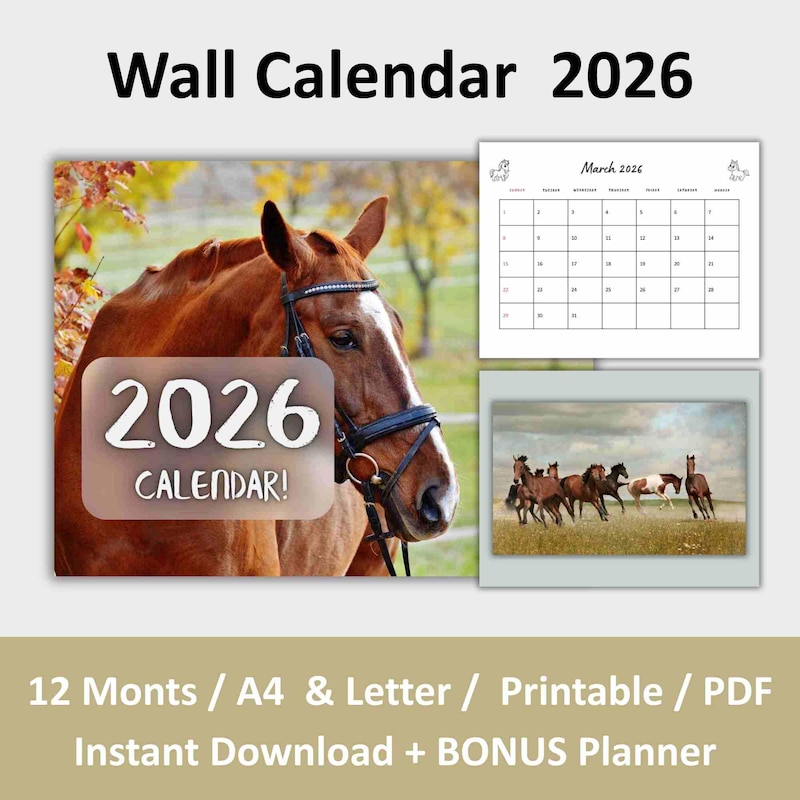 Asian Women Calendar - Etsy