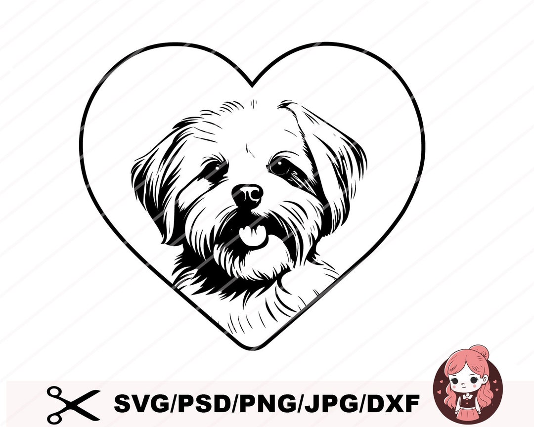 Maltese Svg, Maltese Clipart, Maltese Png, Maltese Head, Maltese Cut ...