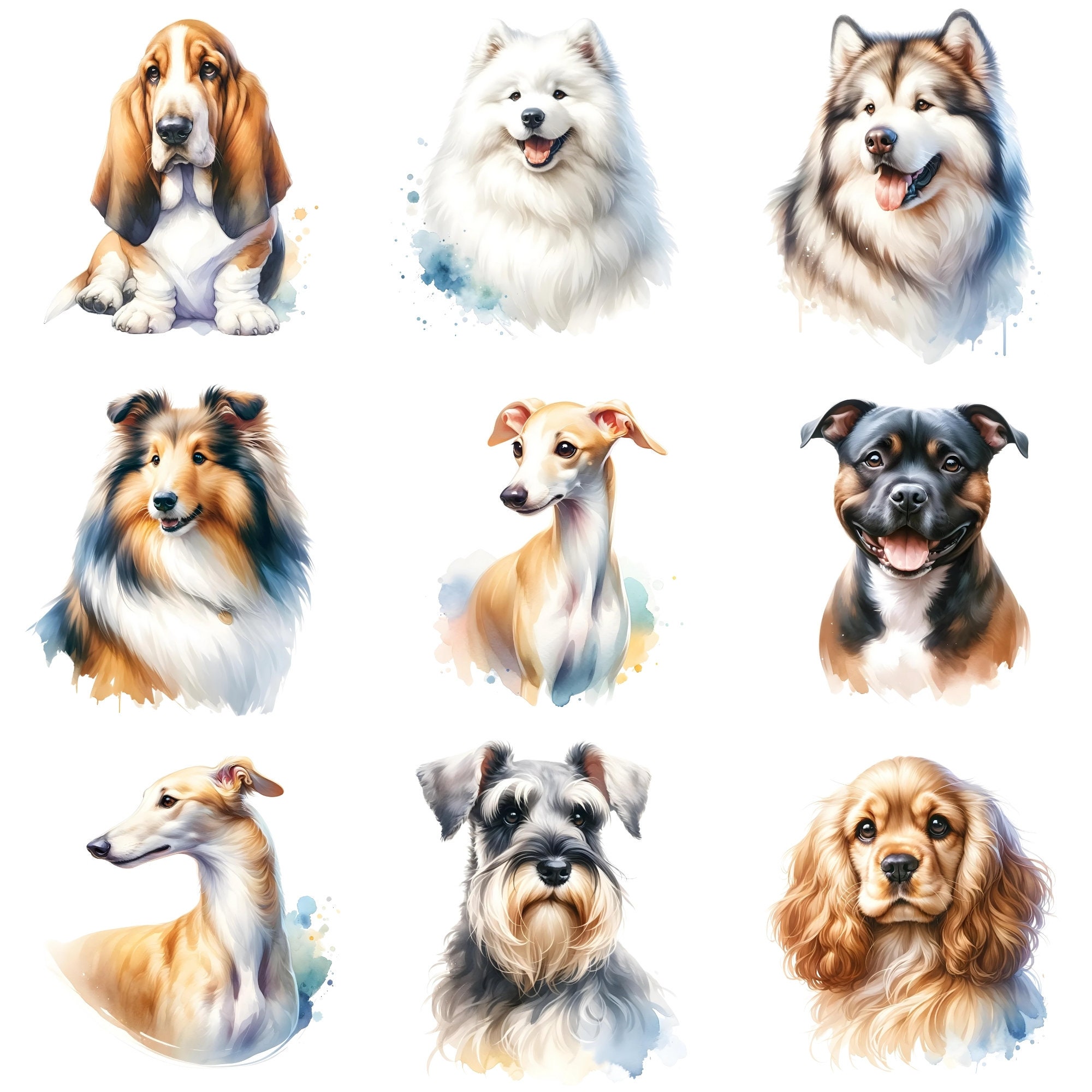 Dog Breeds, Watercolor Clipart, Cute Watercolor, Commercial Use - Etsy