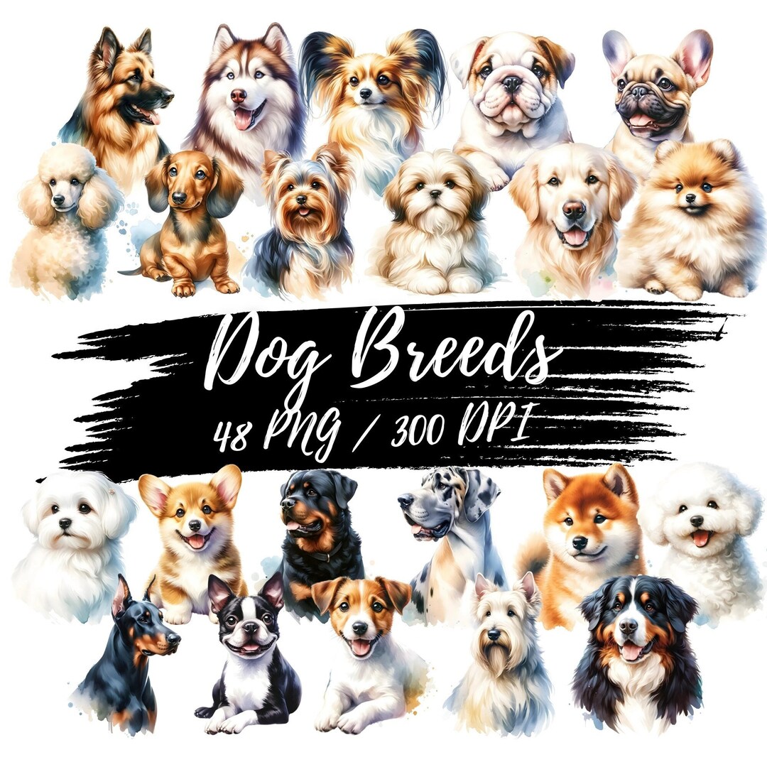 Dog Breeds, Watercolor Clipart, Cute Watercolor, Commercial Use - Etsy