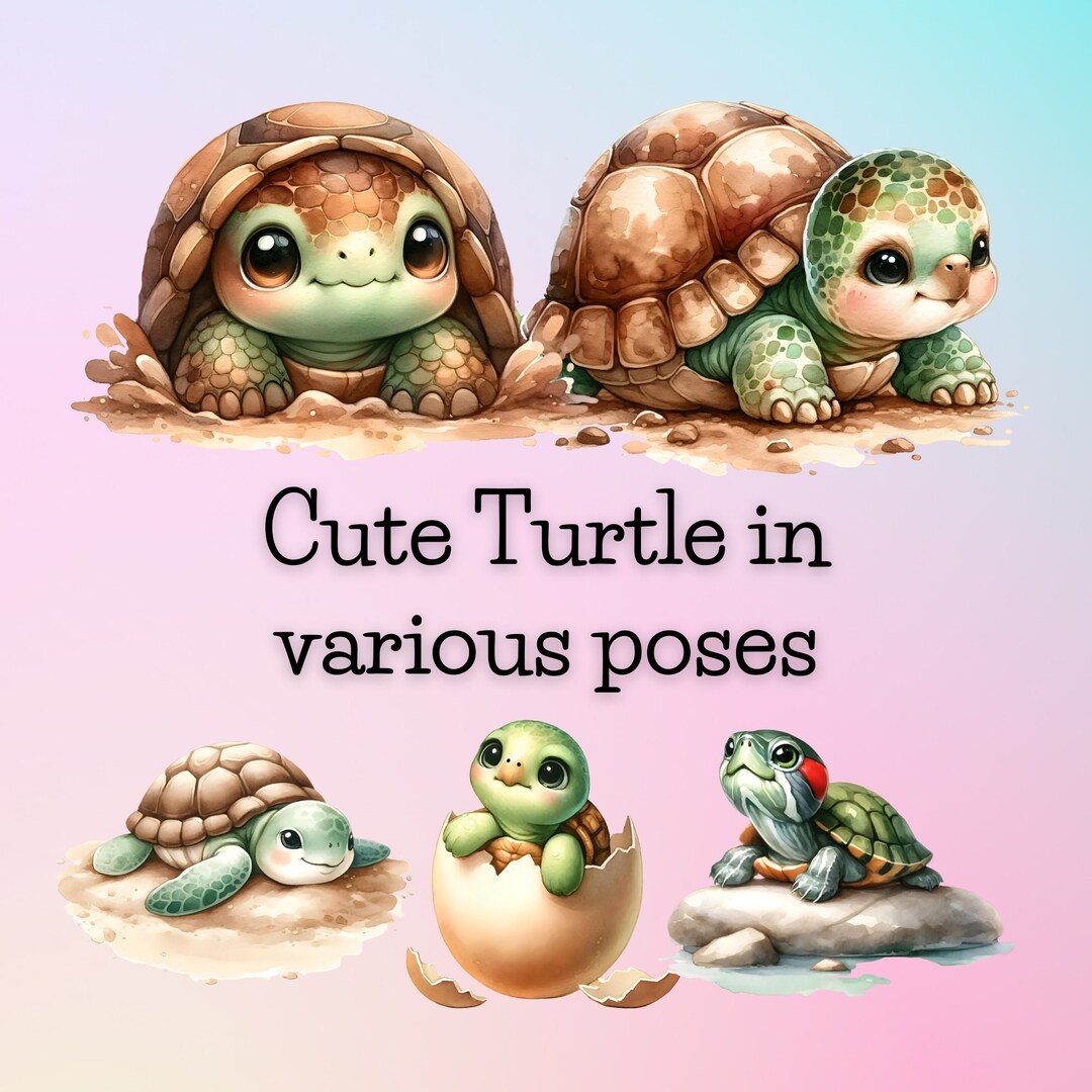 15 PNG, 300 DPI, Cute Turtle in Various Poses, Commercial Use - Etsy