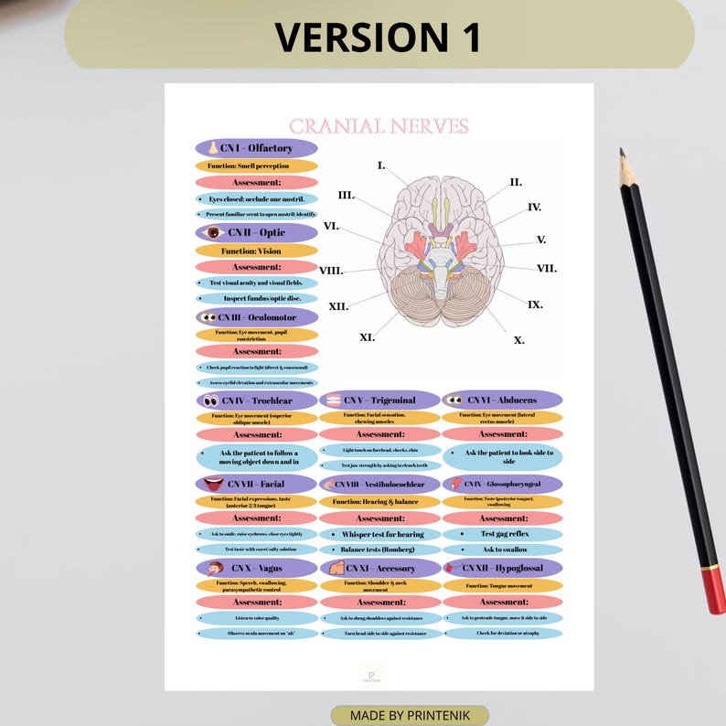 Cranial Nerves Cheat Sheet: Neuro Anatomy Nursing Assessment (printable ...