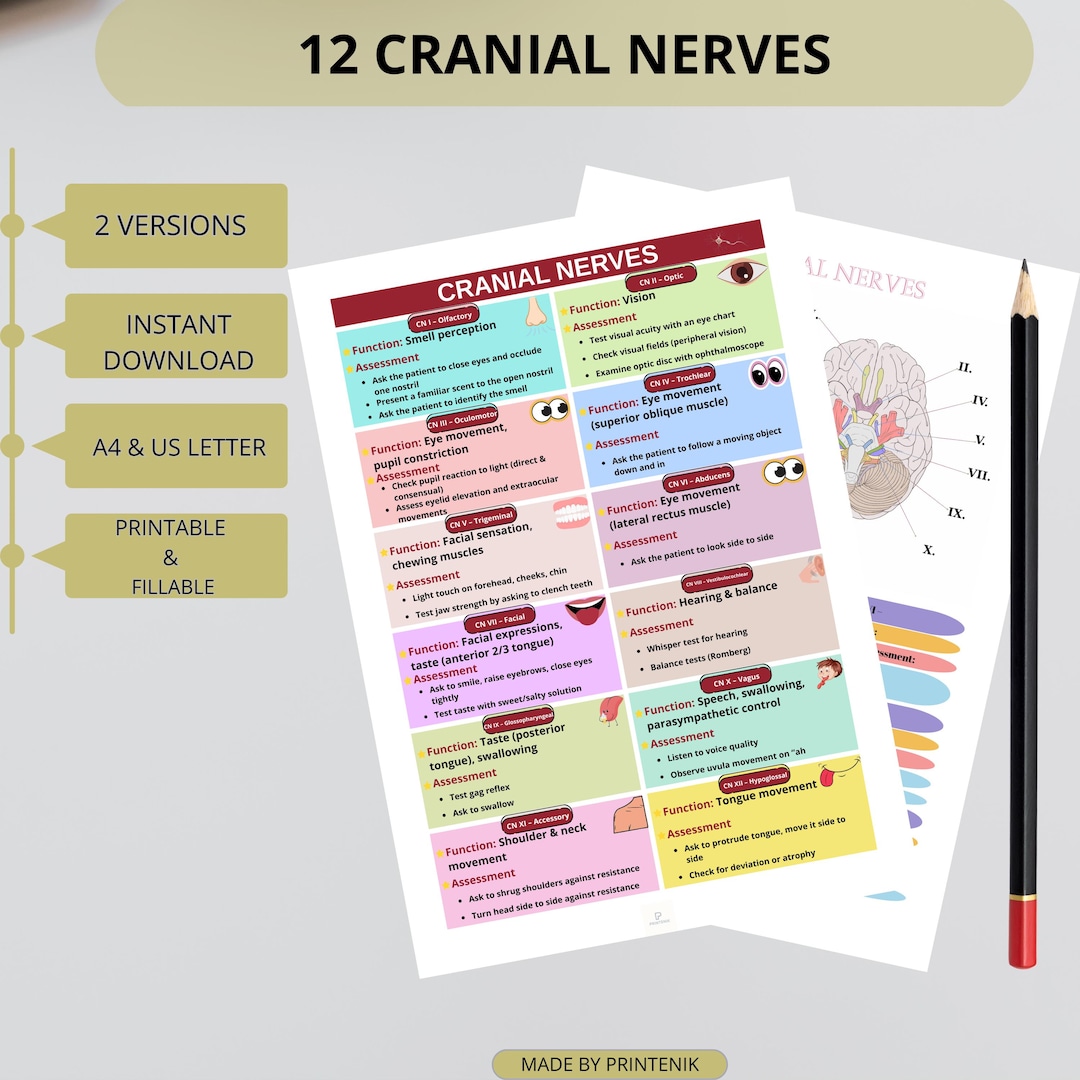 Cranial Nerves Cheat Sheet: Neuro Anatomy Nursing Assessment (printable ...