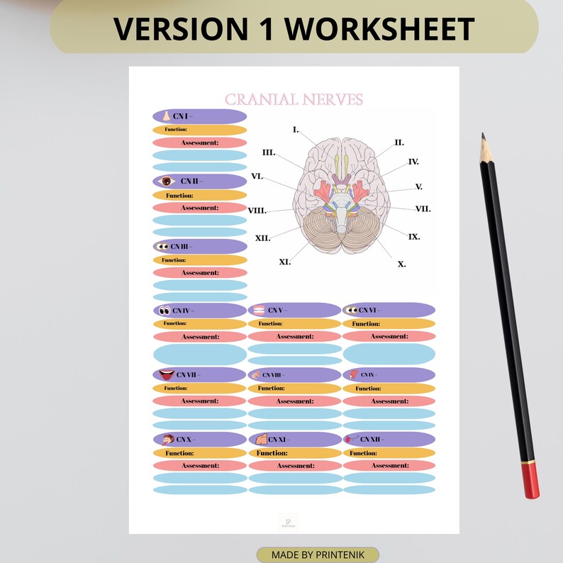 Cranial Nerves Cheat Sheet: Neuro Anatomy Nursing Assessment (printable ...