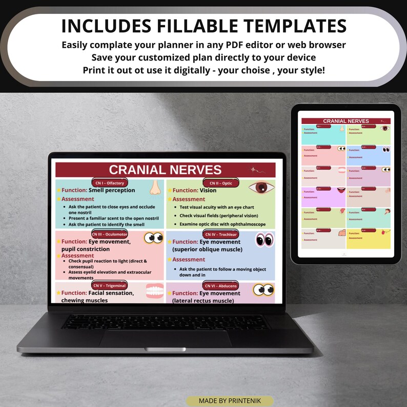Cranial Nerves Cheat Sheet: Neuro Anatomy Nursing Assessment (printable ...