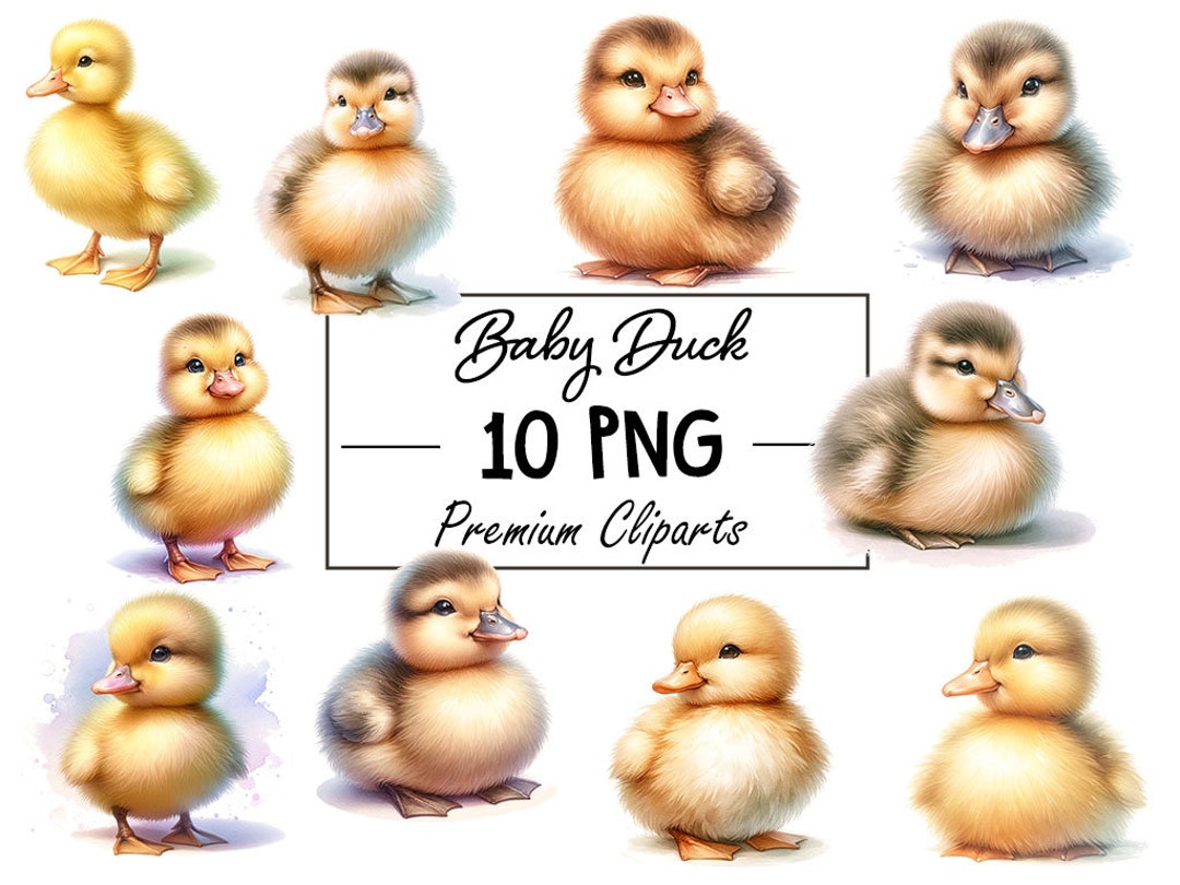 Charming Baby Duck Clipart Collection - 10 PNG Digital Files for ...